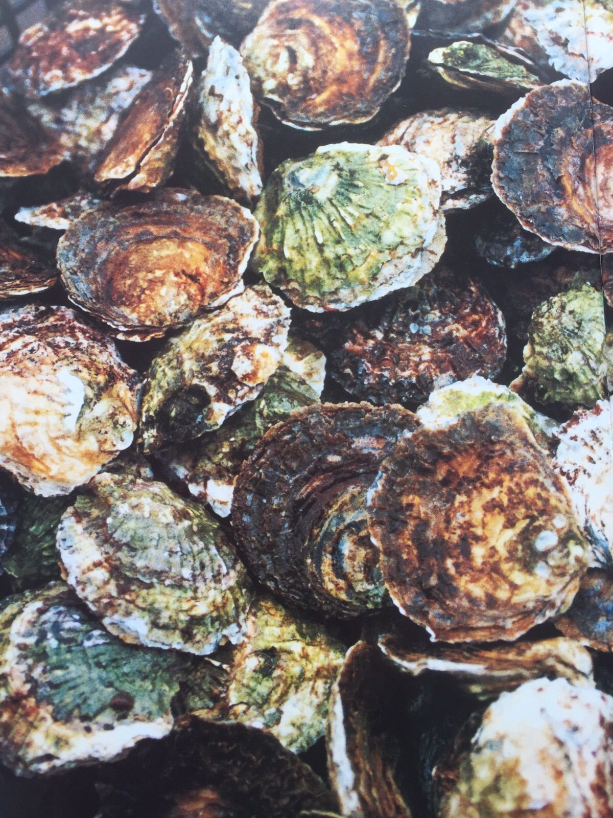 Platte oesters in witte wijnsaus op een bedje van spinazie