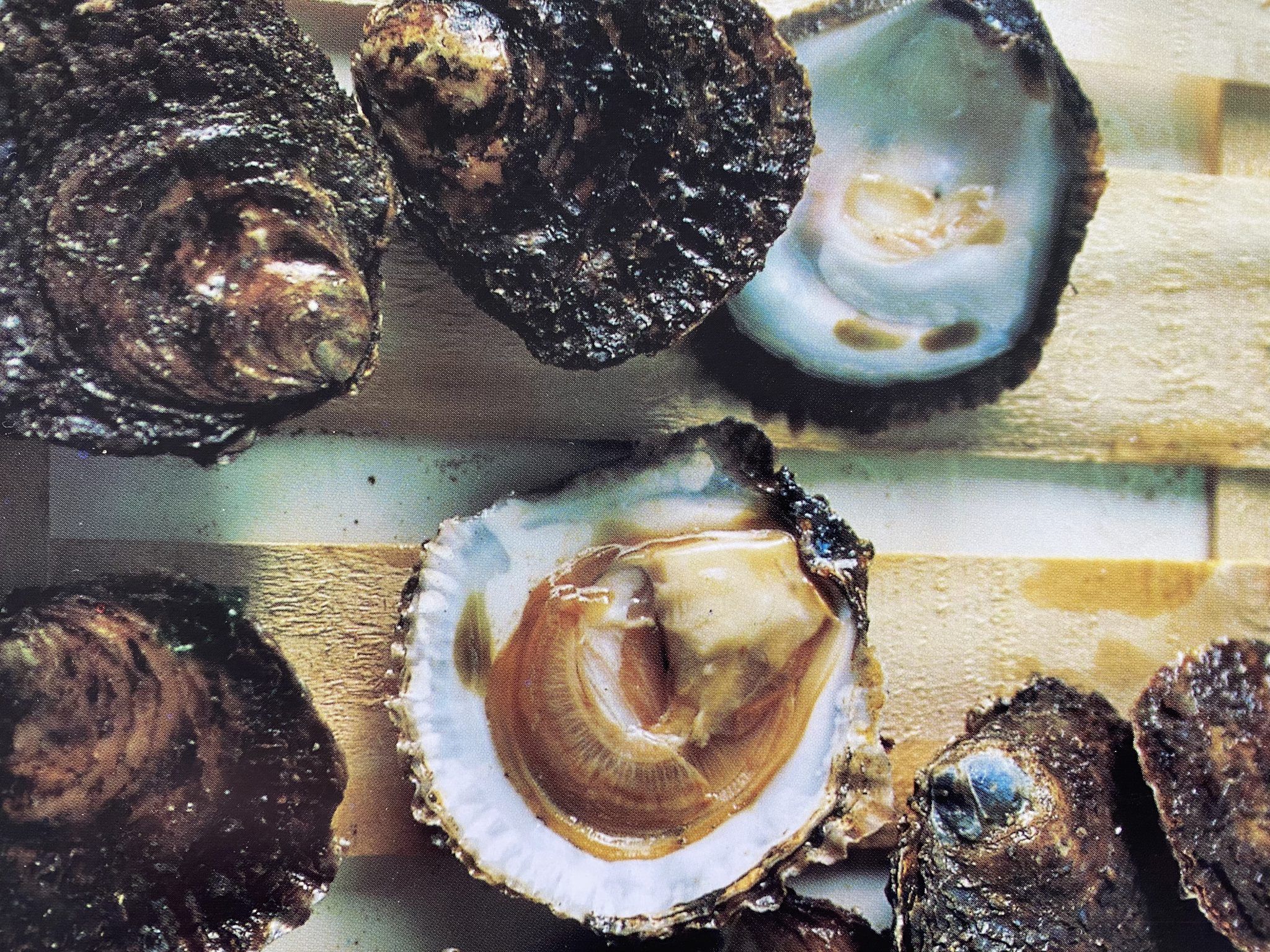 Platte oesters in witte wijnsaus op een bedje van spinazie